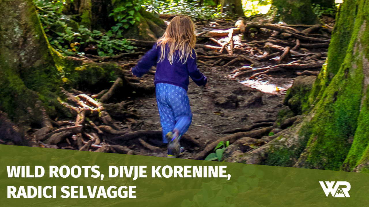 Itinerari Wild Roots - Lusevera - Wild Routes